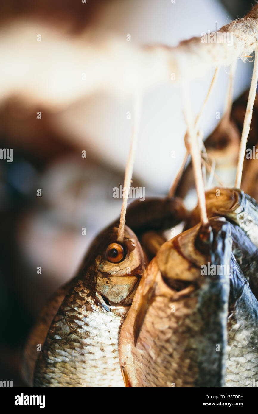 Fish inside a hole hi-res stock photography and images - Alamy