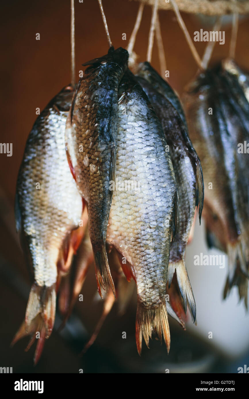 dried fish hanging on a rope Stock Photo - Alamy