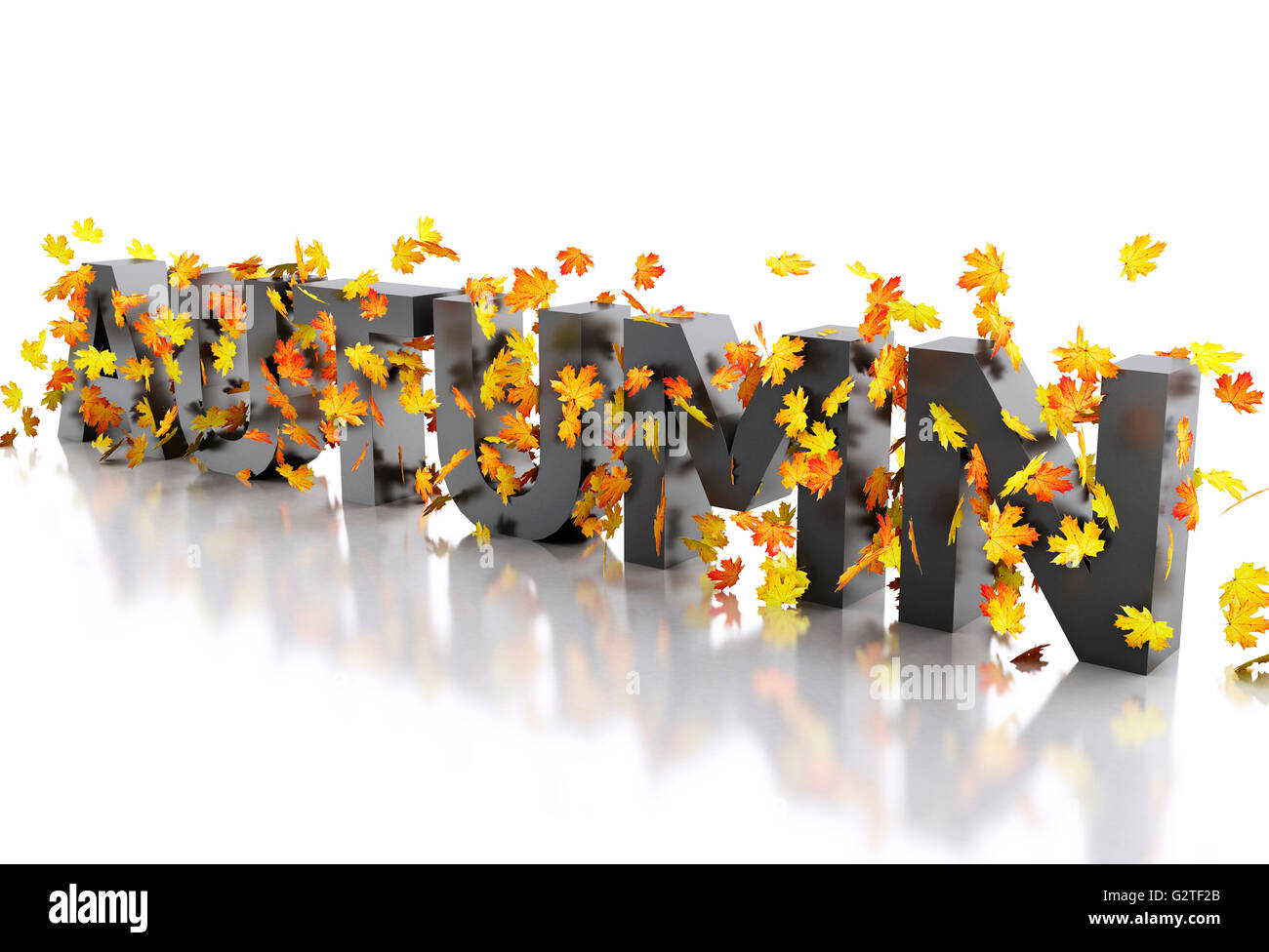 3d renderer image. Word autumn decorated with leaves. Isolated white ...