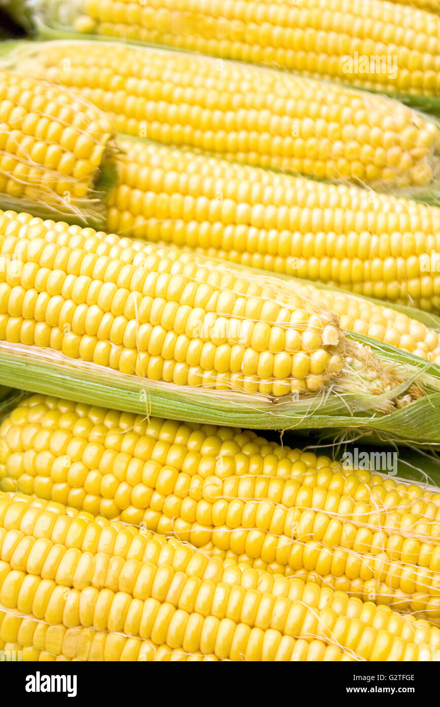 Corn as background Stock Photo - Alamy