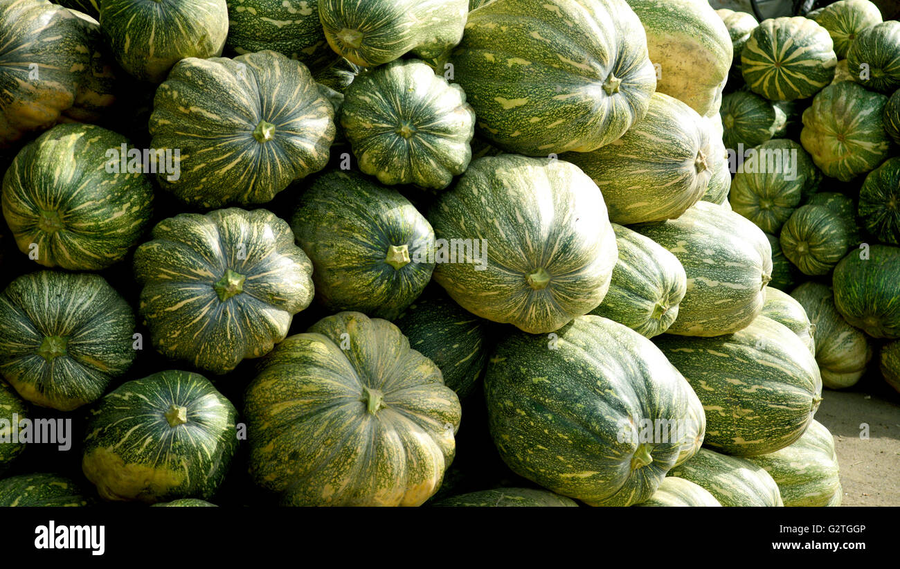 Pumpkin stack at The Indian market Stock Photo - Alamy
