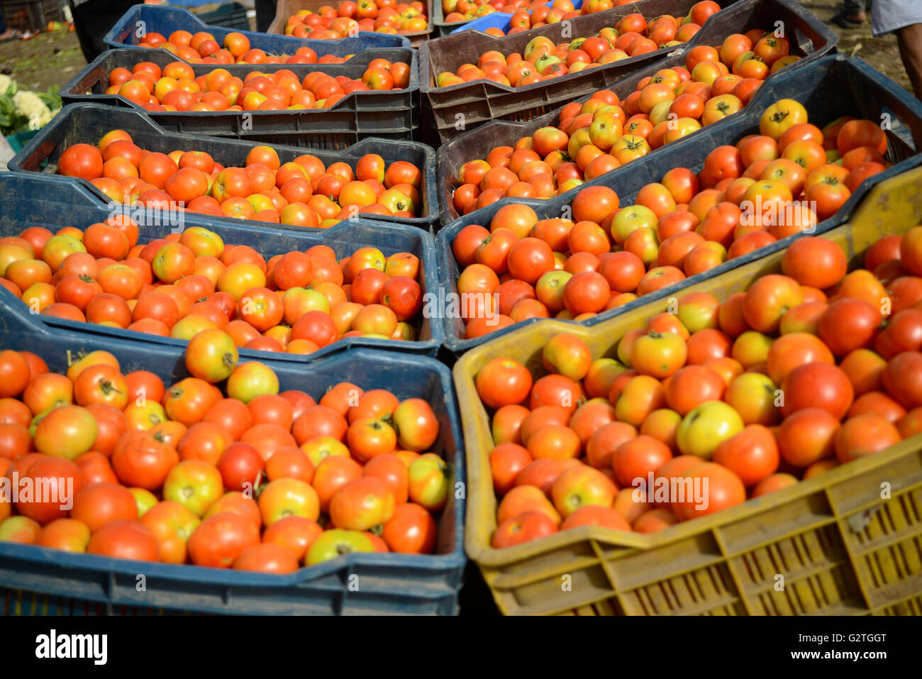 Tomato seller hi-res stock photography and images - Alamy