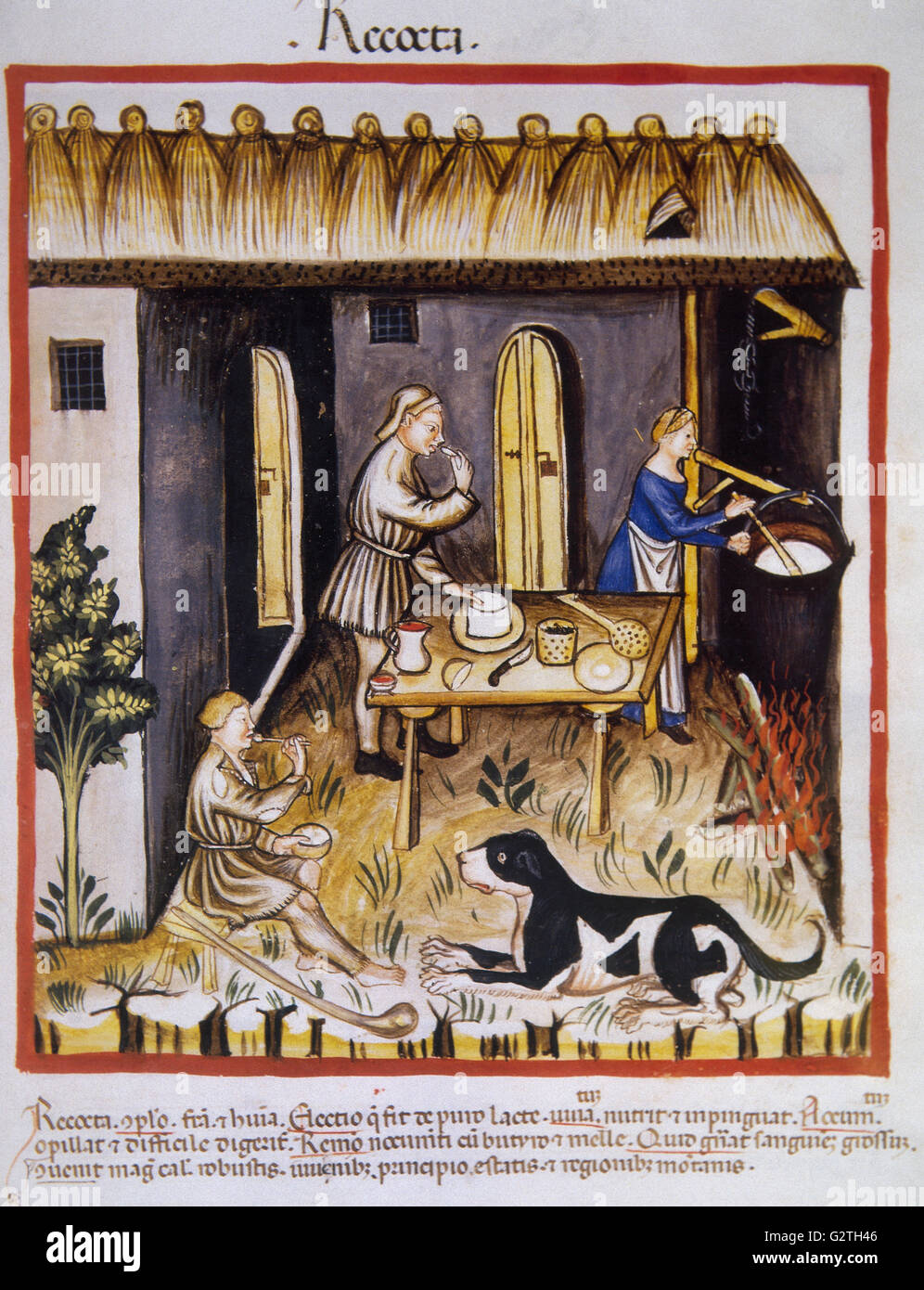 Tacuinum Sanitatis. 14th century. Medieval handbook of health. White ...