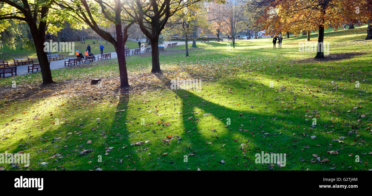 Shadows cast by trees hi-res stock photography and images - Alamy
