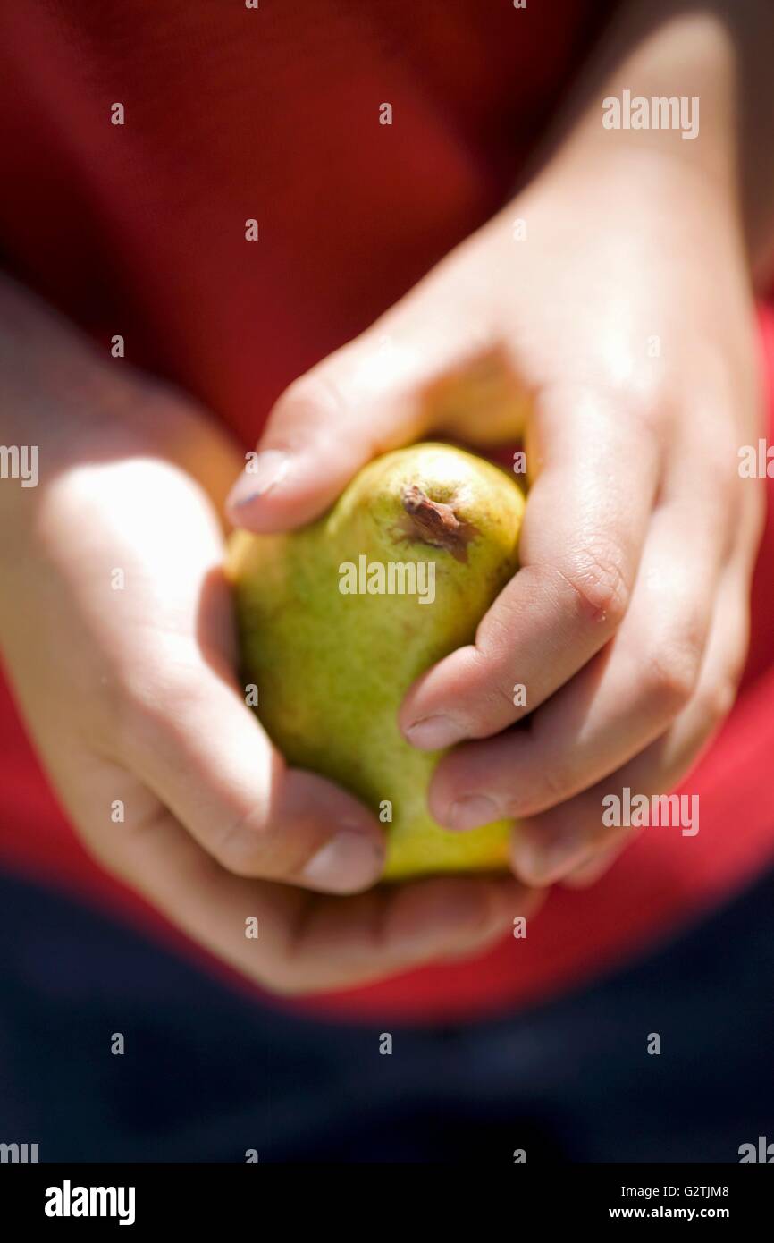 Child's hands holding a pear Stock Photo - Alamy
