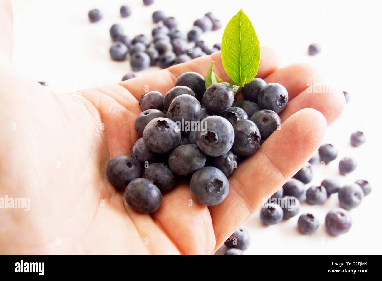 Blueberries on someone's hand Stock Photo - Alamy