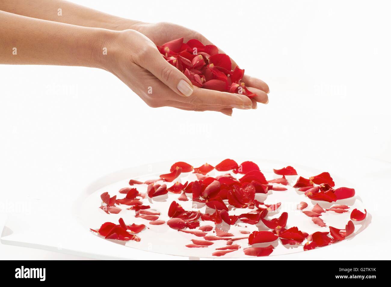 Hands dropping rose petals into bowl of water Stock Photo - Alamy