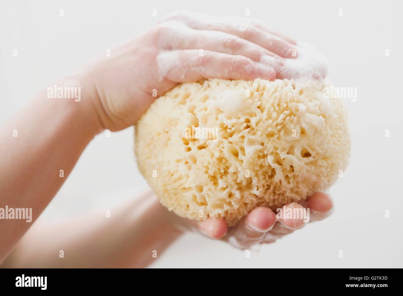 A natural sponge Stock Photo - Alamy