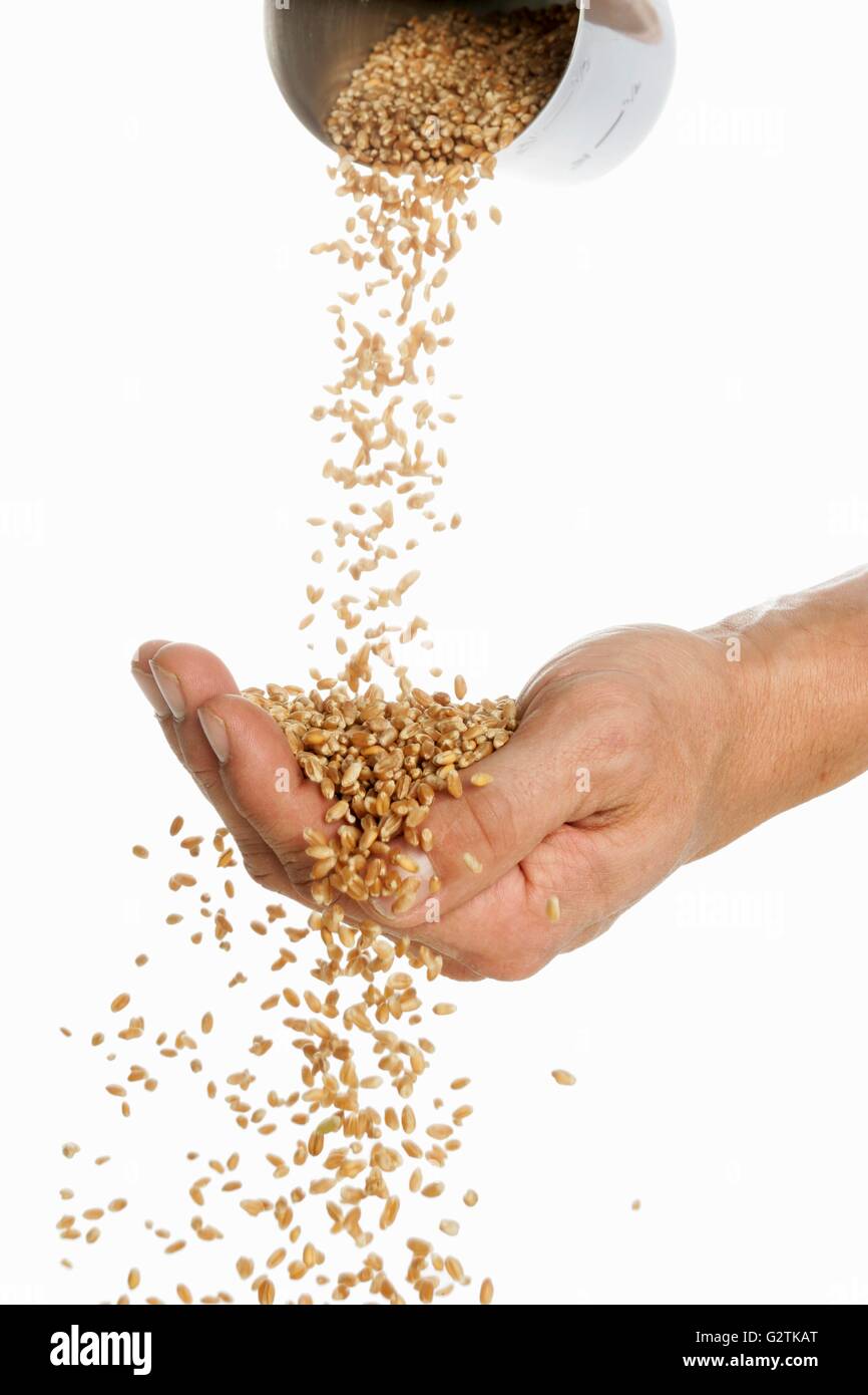 Grains being poured hi-res stock photography and images - Alamy
