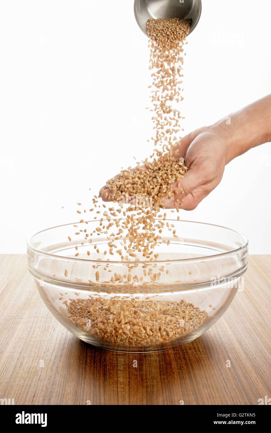 Hands pouring wheat grains hi-res stock photography and images - Alamy