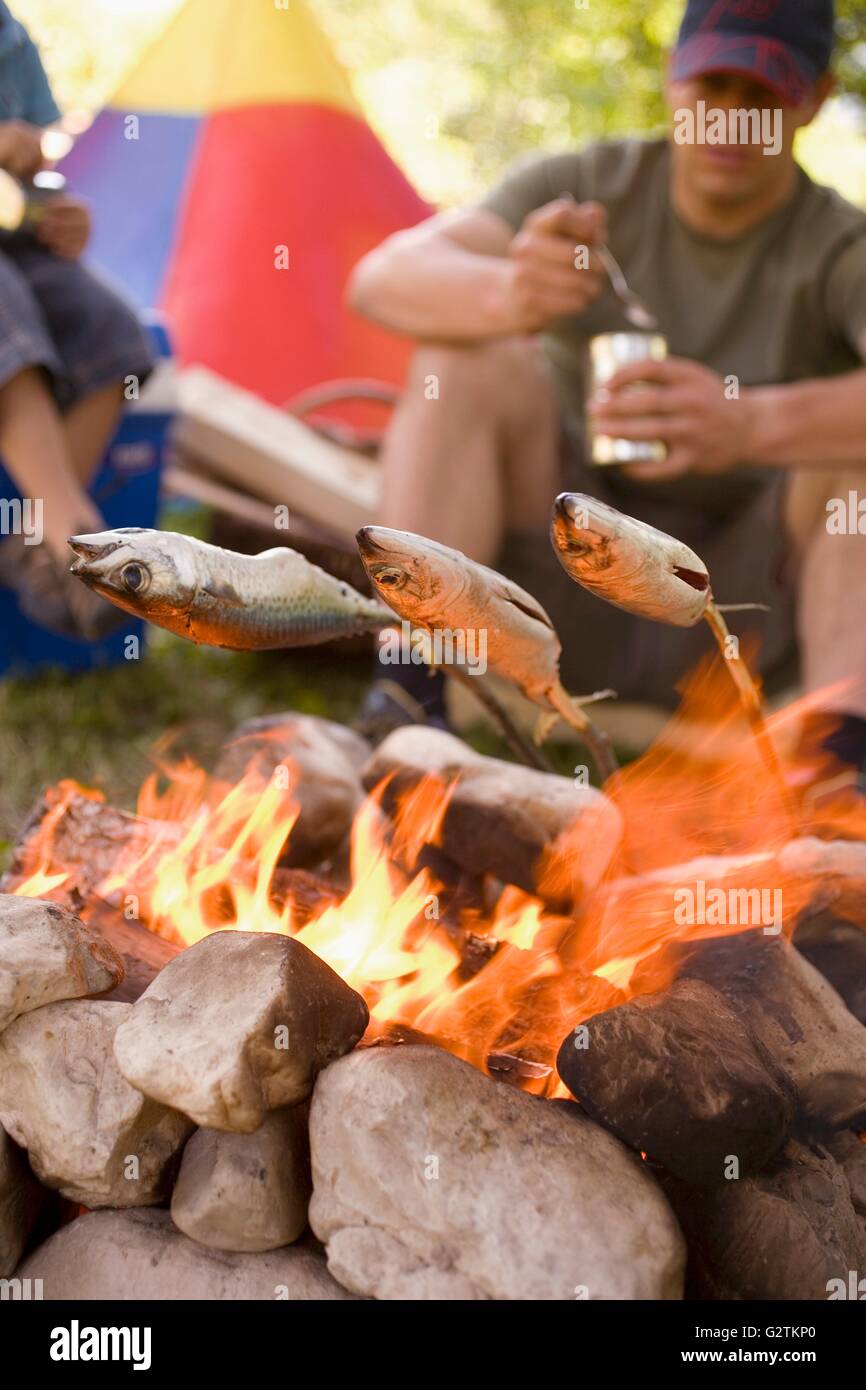 Father and son grilling fish over camp-fire Stock Photo - Alamy