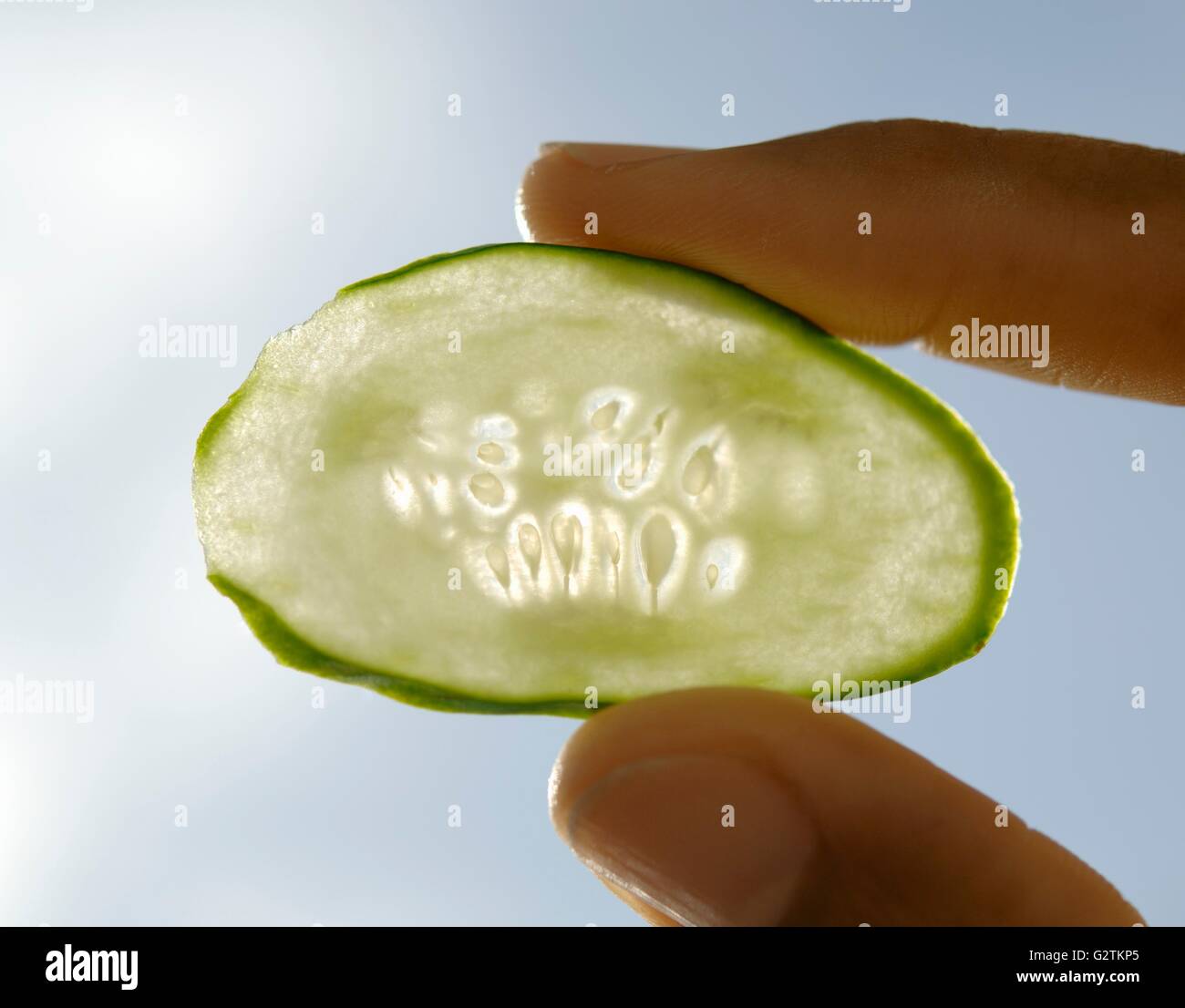 Thin slice of cucumber between someone's finger and thumb Stock Photo ...