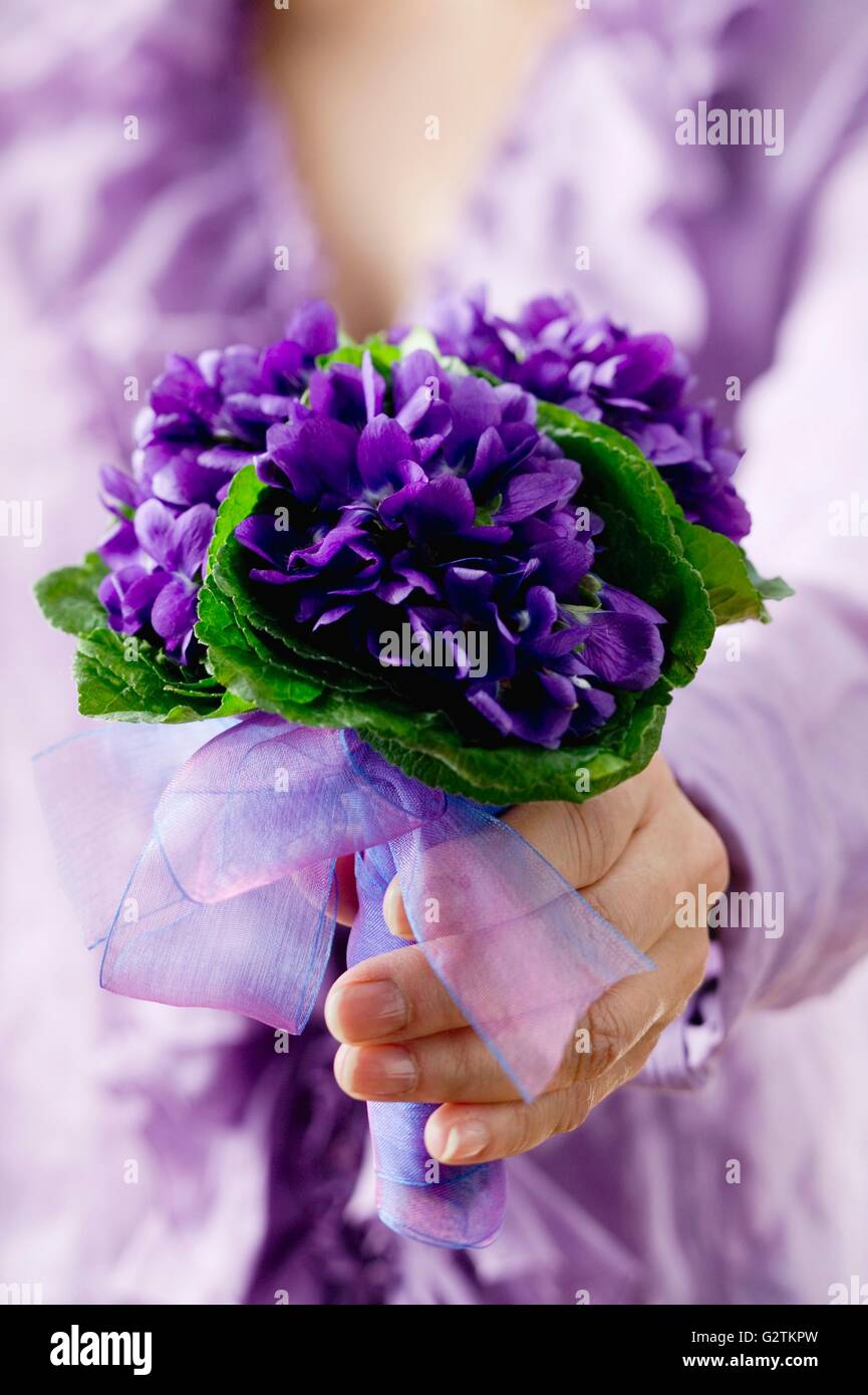 Hand holding a posy of violets Stock Photo - Alamy