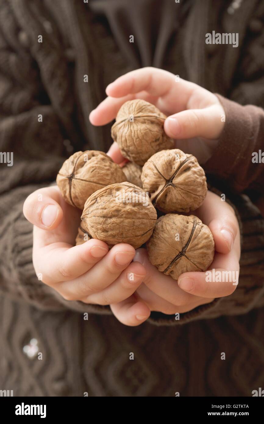Girl holding several walnuts Stock Photo - Alamy