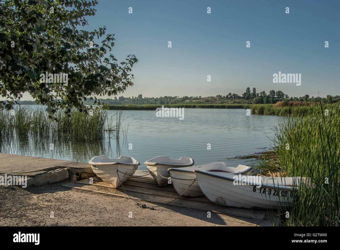 Boats in the pond Stock Photo - Alamy