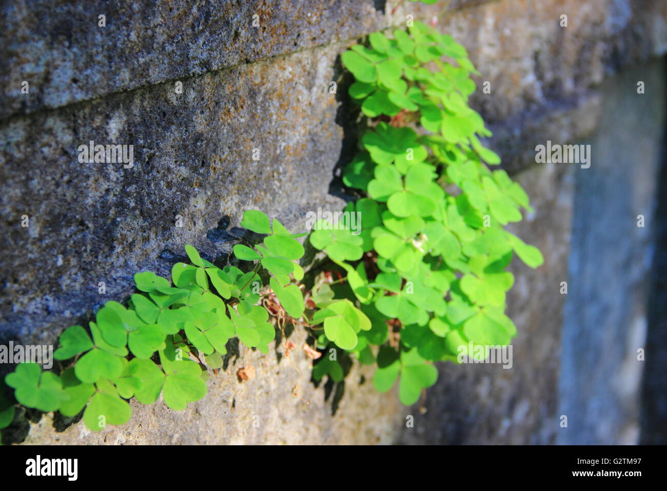 Sun detail hi-res stock photography and images - Alamy