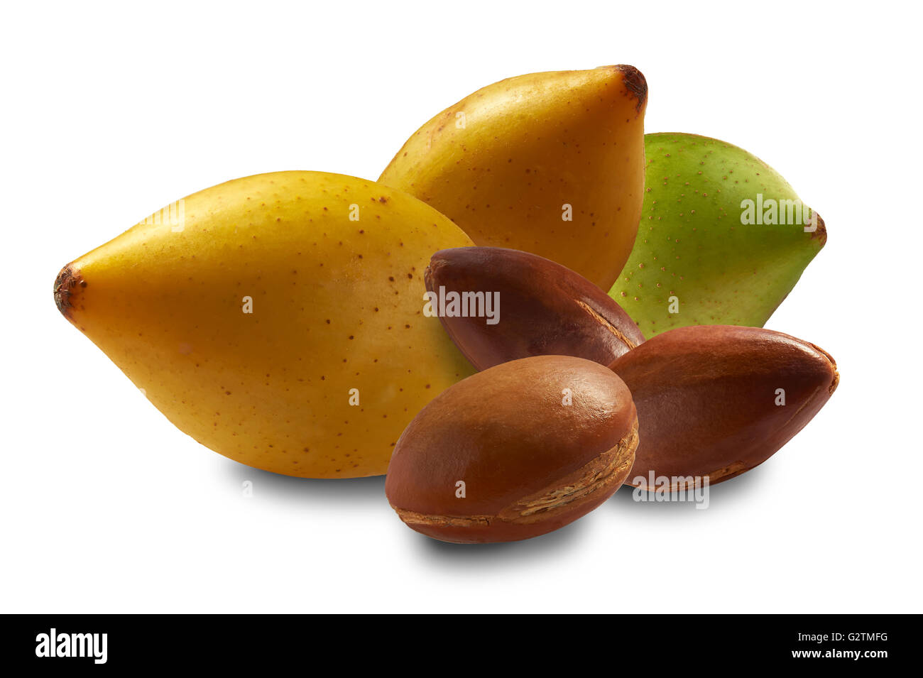 Argan fruit hi-res stock photography and images - Alamy