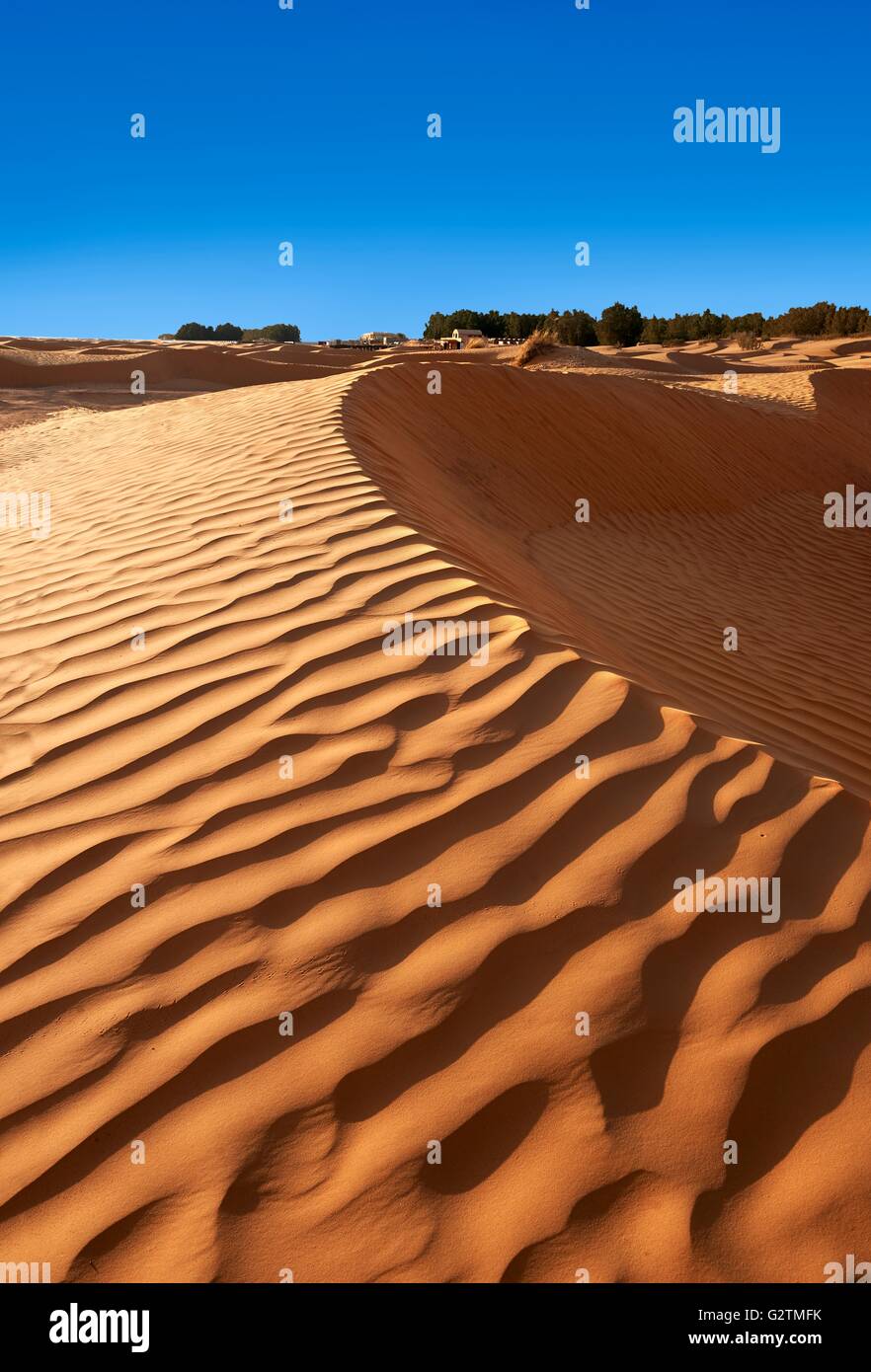 Grand erg oriental desert hi-res stock photography and images - Alamy