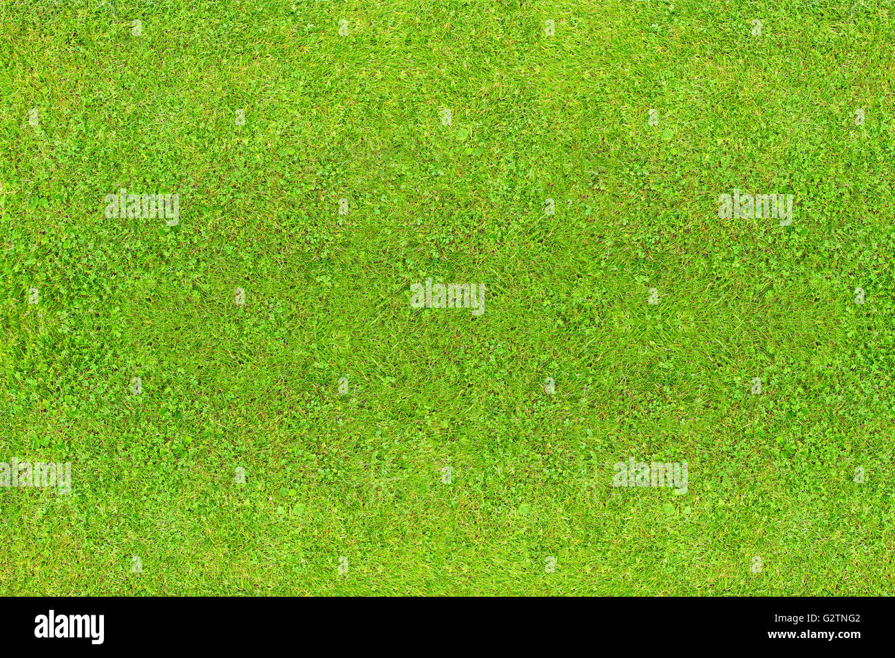 Green grass background Stock Photo - Alamy