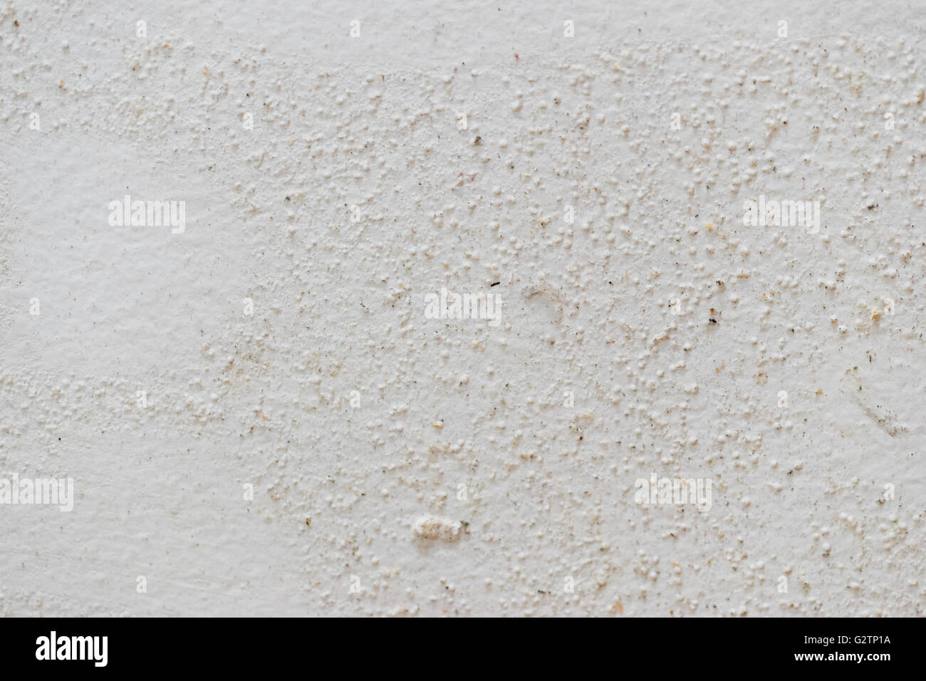 Mold texture on white damped wall background Stock Photo - Alamy