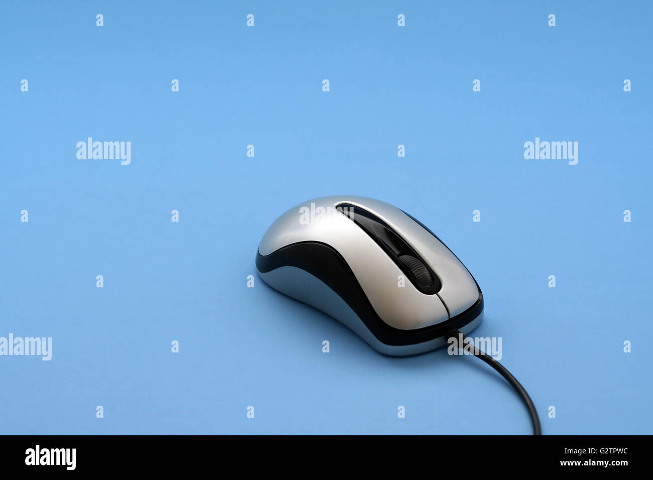 Mouse in blue background Stock Photo - Alamy