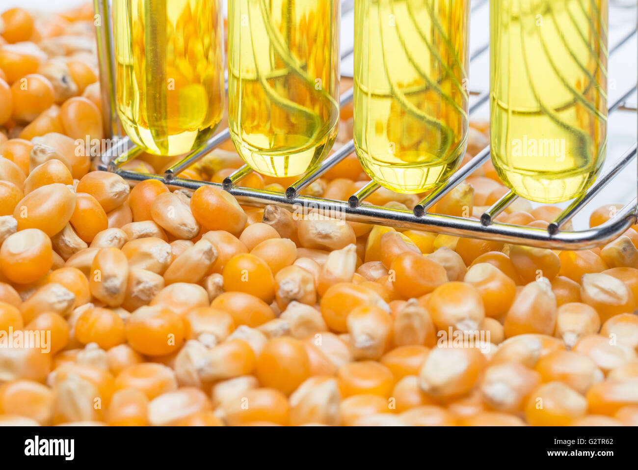 Biodiesel test tube hi-res stock photography and images - Alamy