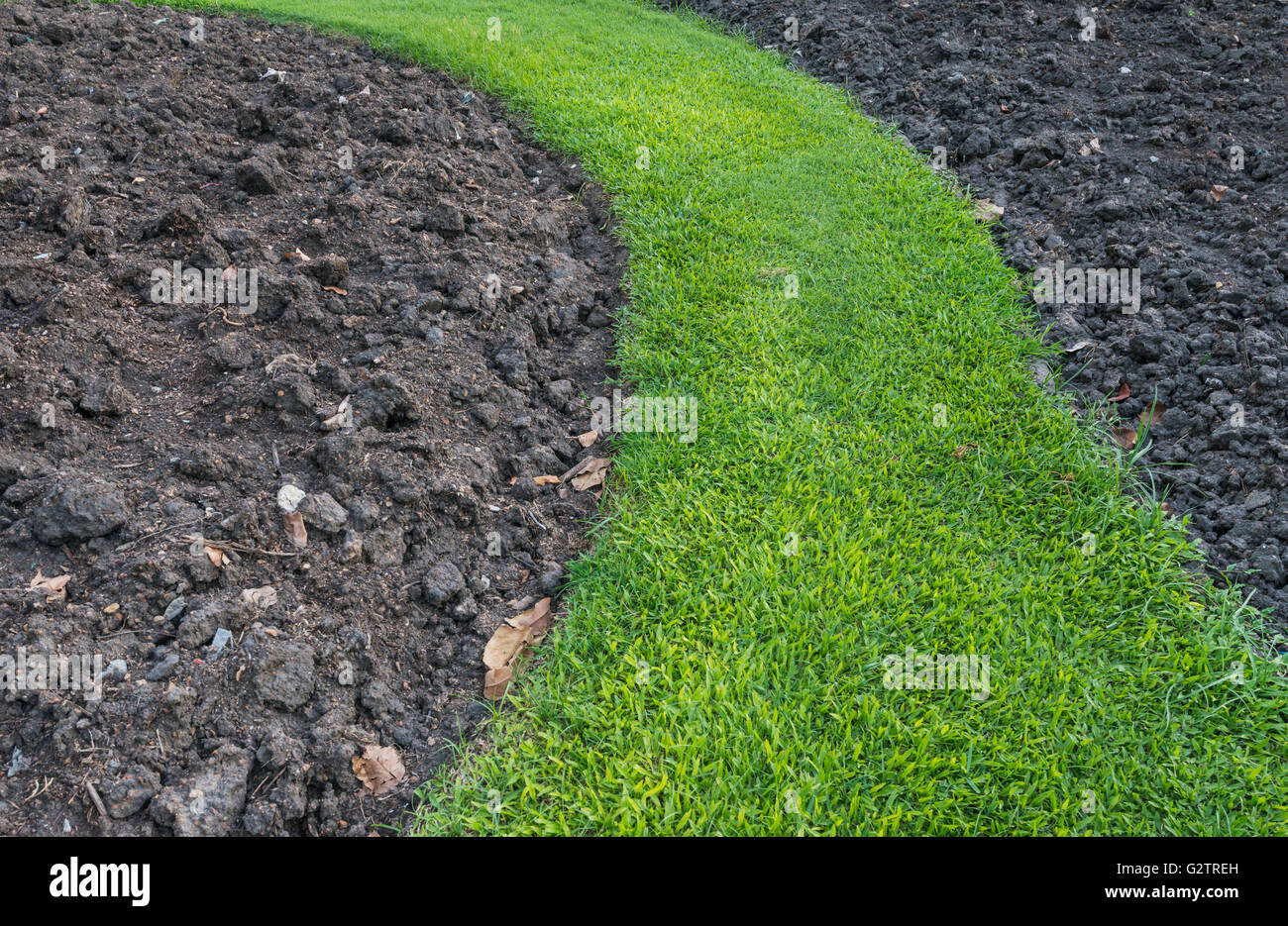 Green grass path with soil background Stock Photo - Alamy