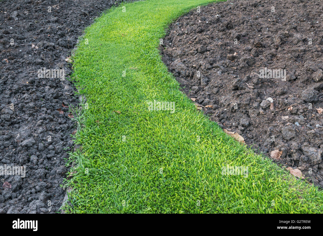 Green grass path with soil background Stock Photo - Alamy