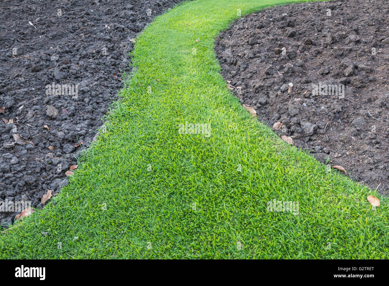 Green grass path with soil background Stock Photo - Alamy