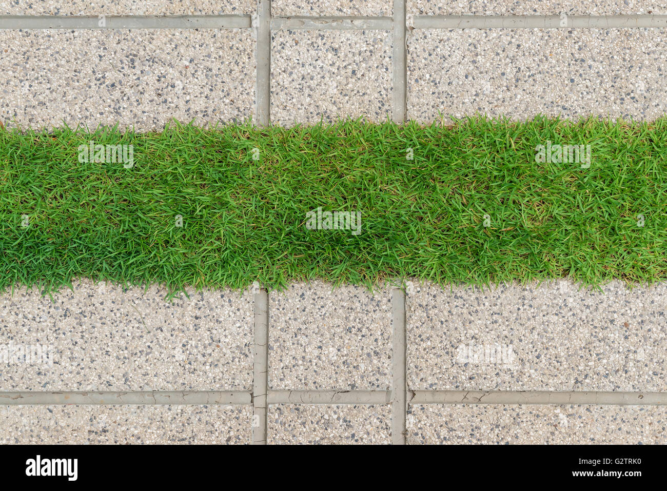 Gravel texture and strip grass as background Stock Photo - Alamy