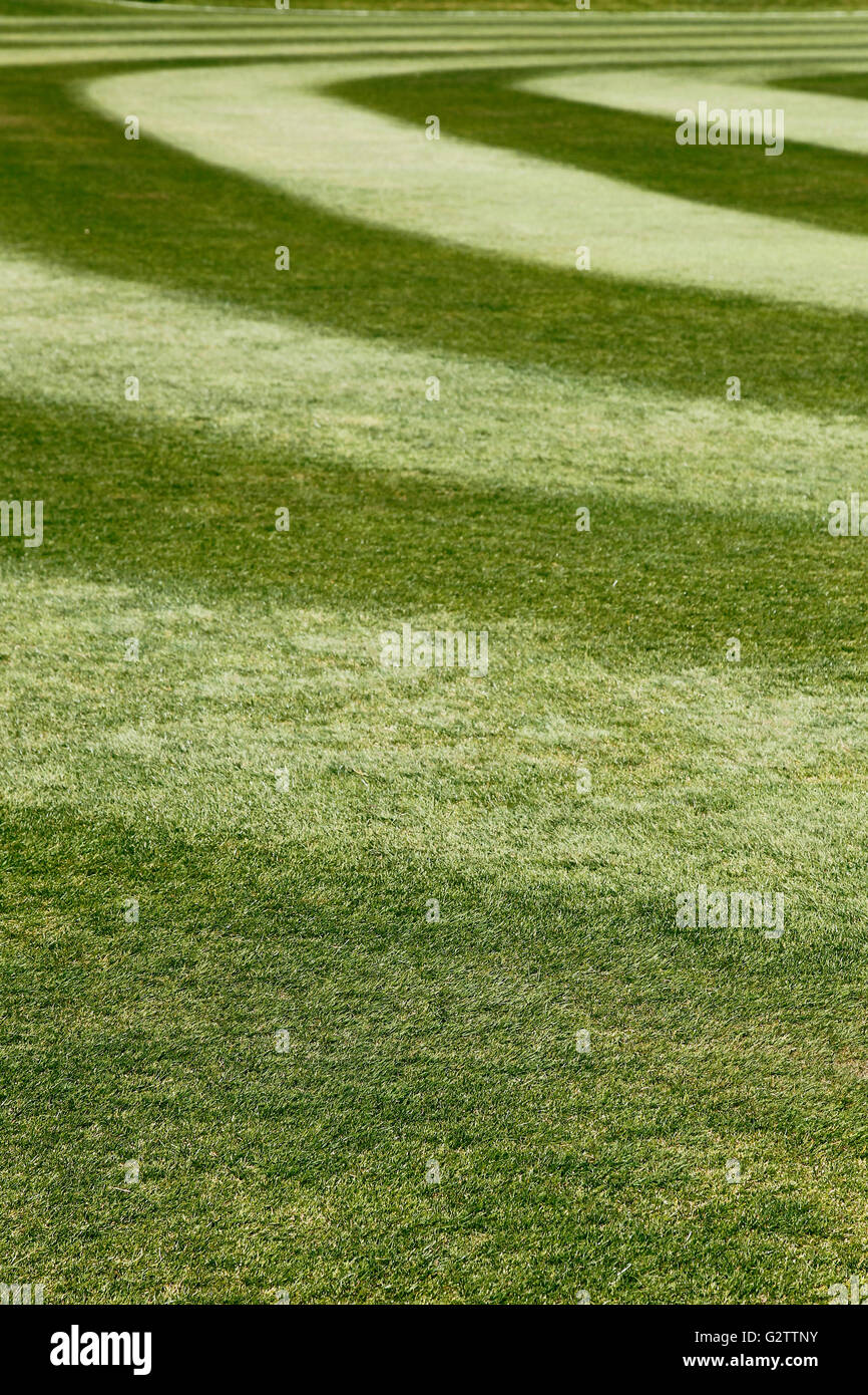 Plants, Gardens, Pattern of freshly mowed lawn Stock Photo - Alamy