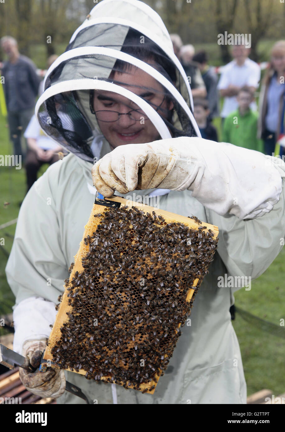 Beekeeper at Honey Bee Fayre, Yalding Stock Photo - Alamy
