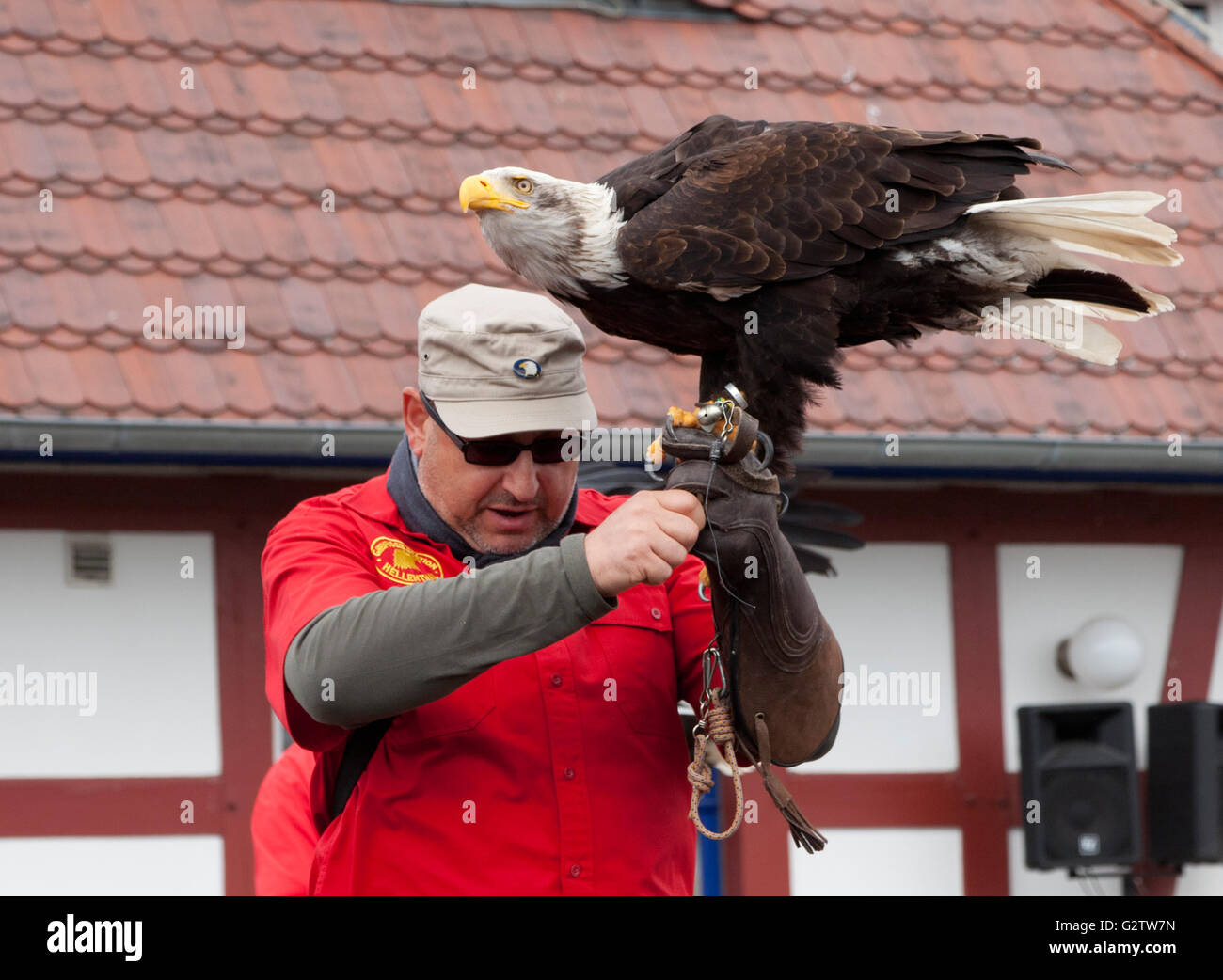 German eagle images hi-res stock photography and images - Alamy