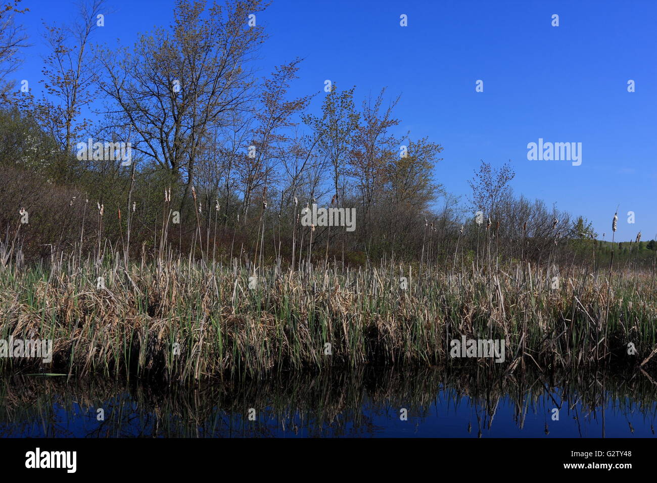 Bonnechere provincial park hi-res stock photography and images - Alamy