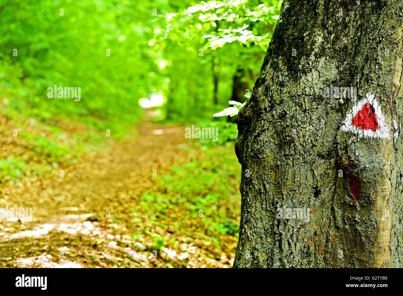 Hiking red triangle paint marking on a trail into the woods Stock Photo ...