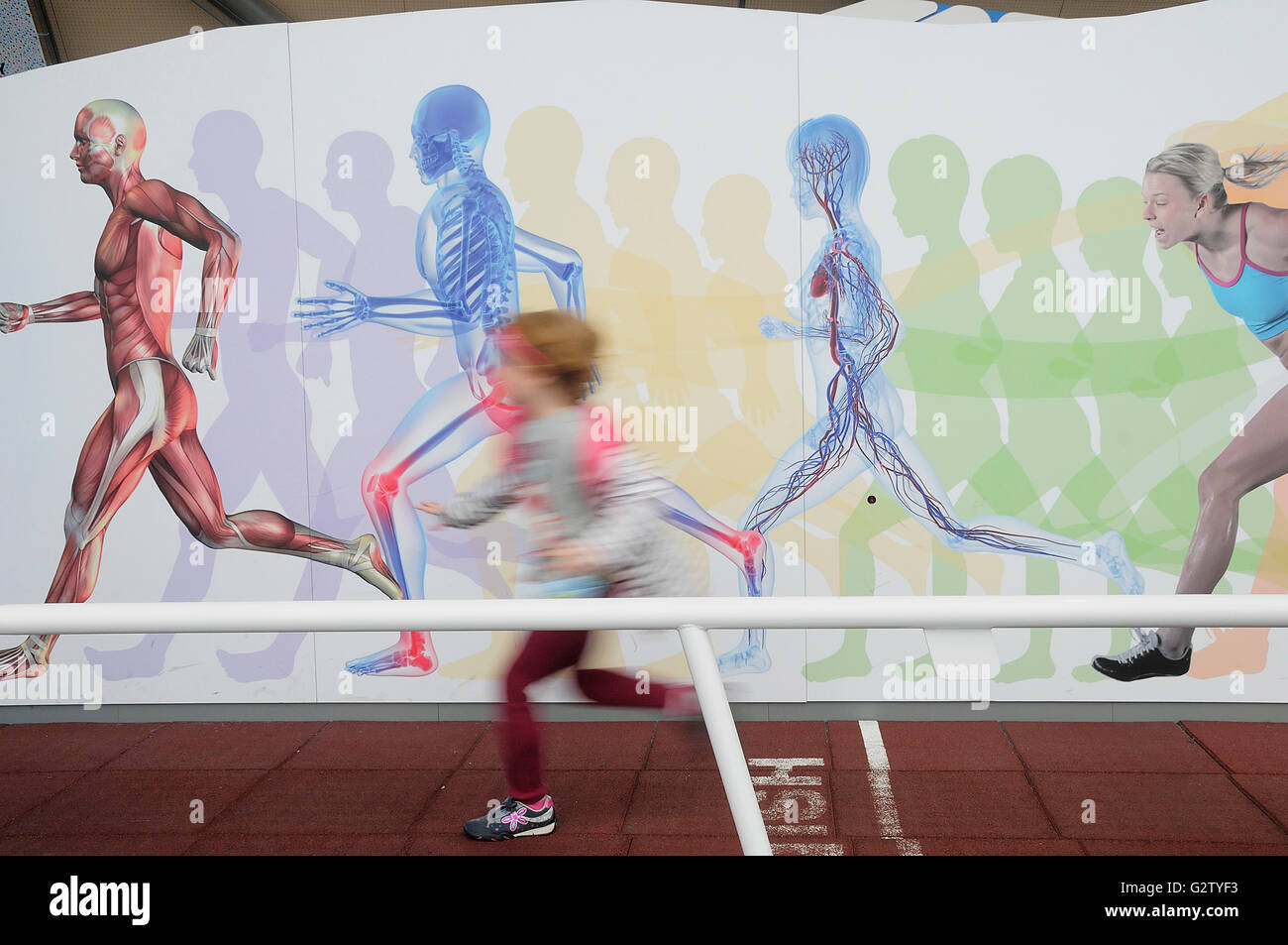 Scotland, Glasgow, West End, Glasgow Science Centre, sprint lane Stock ...