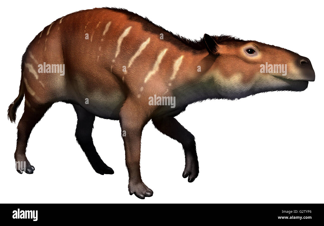Prehistoric horse hi-res stock photography and images - Alamy