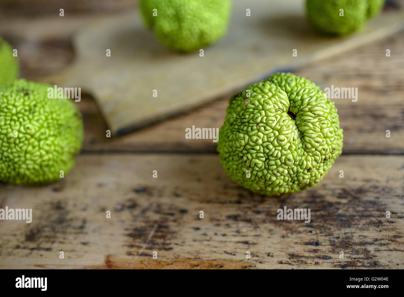 Fruits of Osage Orange Still-Life on wooden board Stock Photo - Alamy
