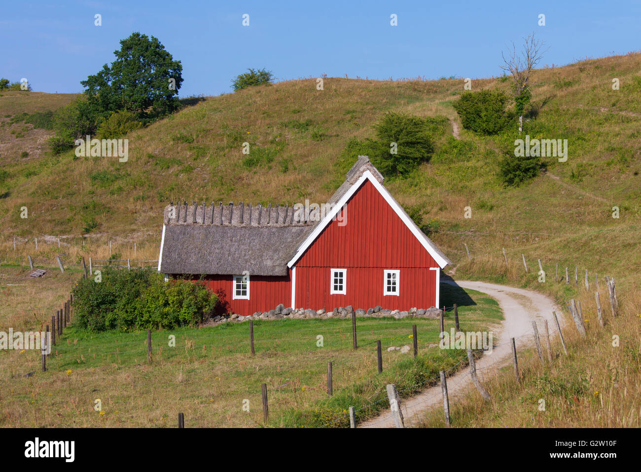 Traditional red wooden farmhouse with thatched roof at Brösarps backar ...