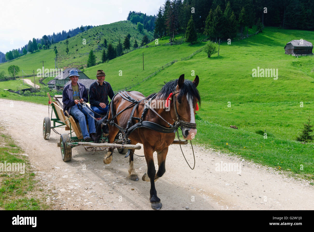 Horse Carriage Romania High Resolution Stock Photography and Images - Alamy