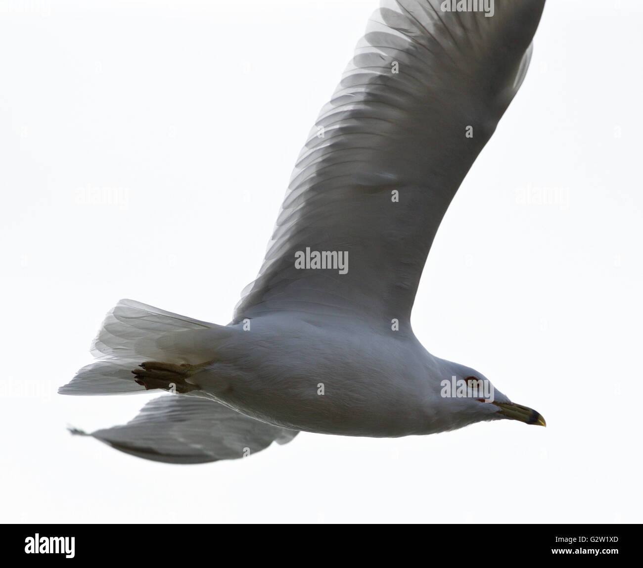 Amazing sky Cut Out Stock Images & Pictures - Alamy