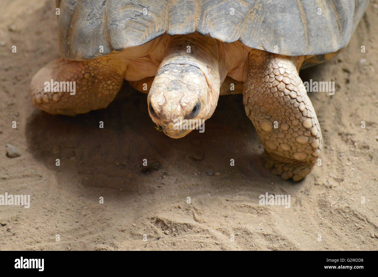 Radiated hi-res stock photography and images - Alamy