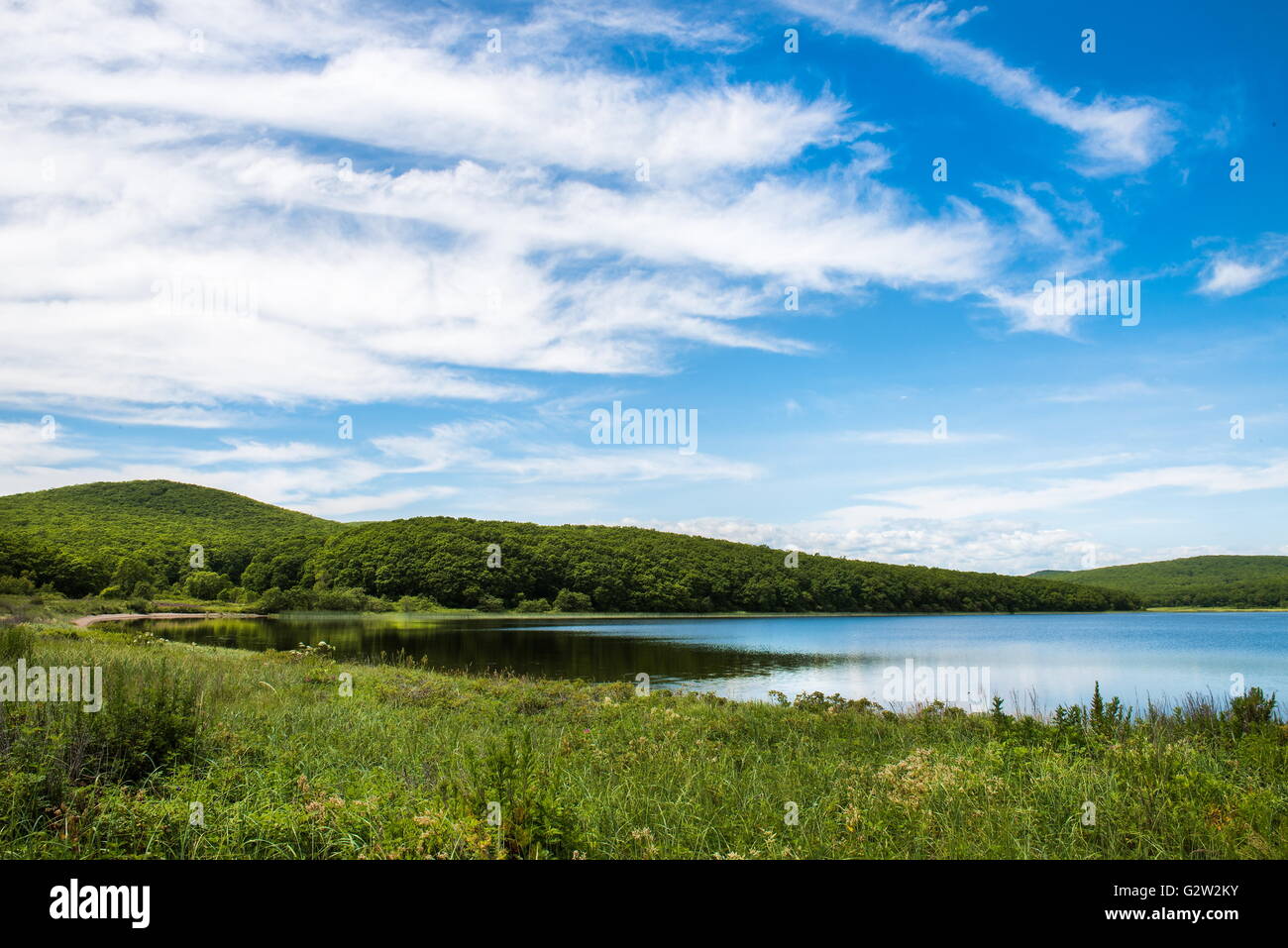Pacific Ocean coast - japanese sea landscape Stock Photo - Alamy