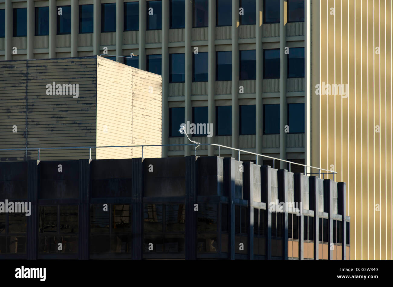 Surveillance towers hi-res stock photography and images - Alamy