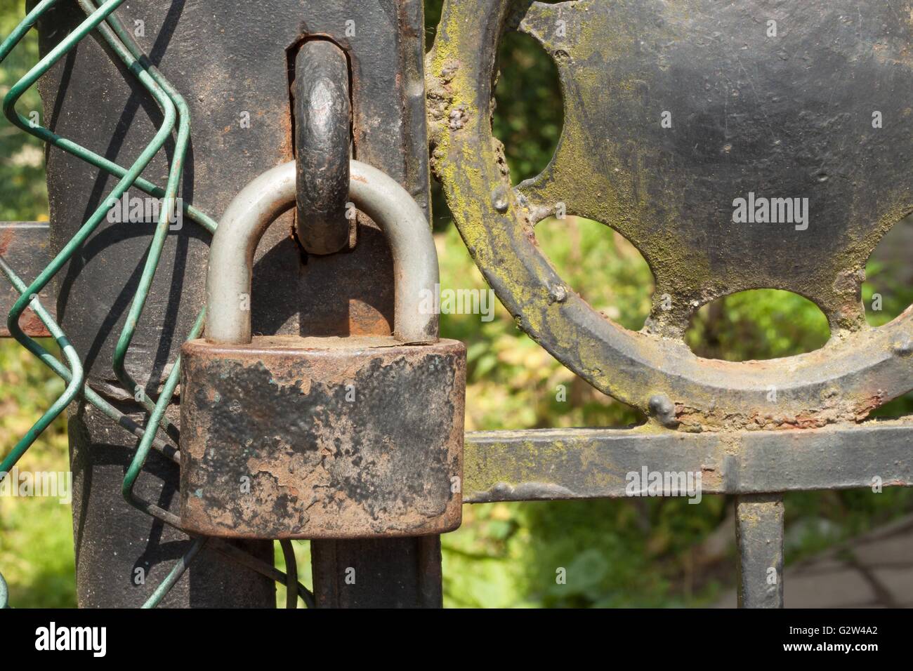 Old rusty lock on a metal gate into the garden. Lock on the iron gate ...