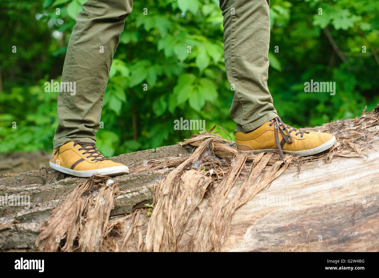 Man walking on a log Stock Photo - Alamy