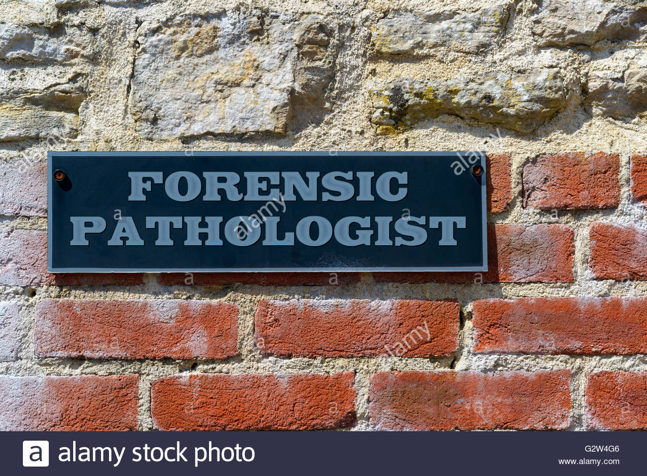 Forensic Pathologist Stock Photos & Forensic Pathologist Stock Images ...