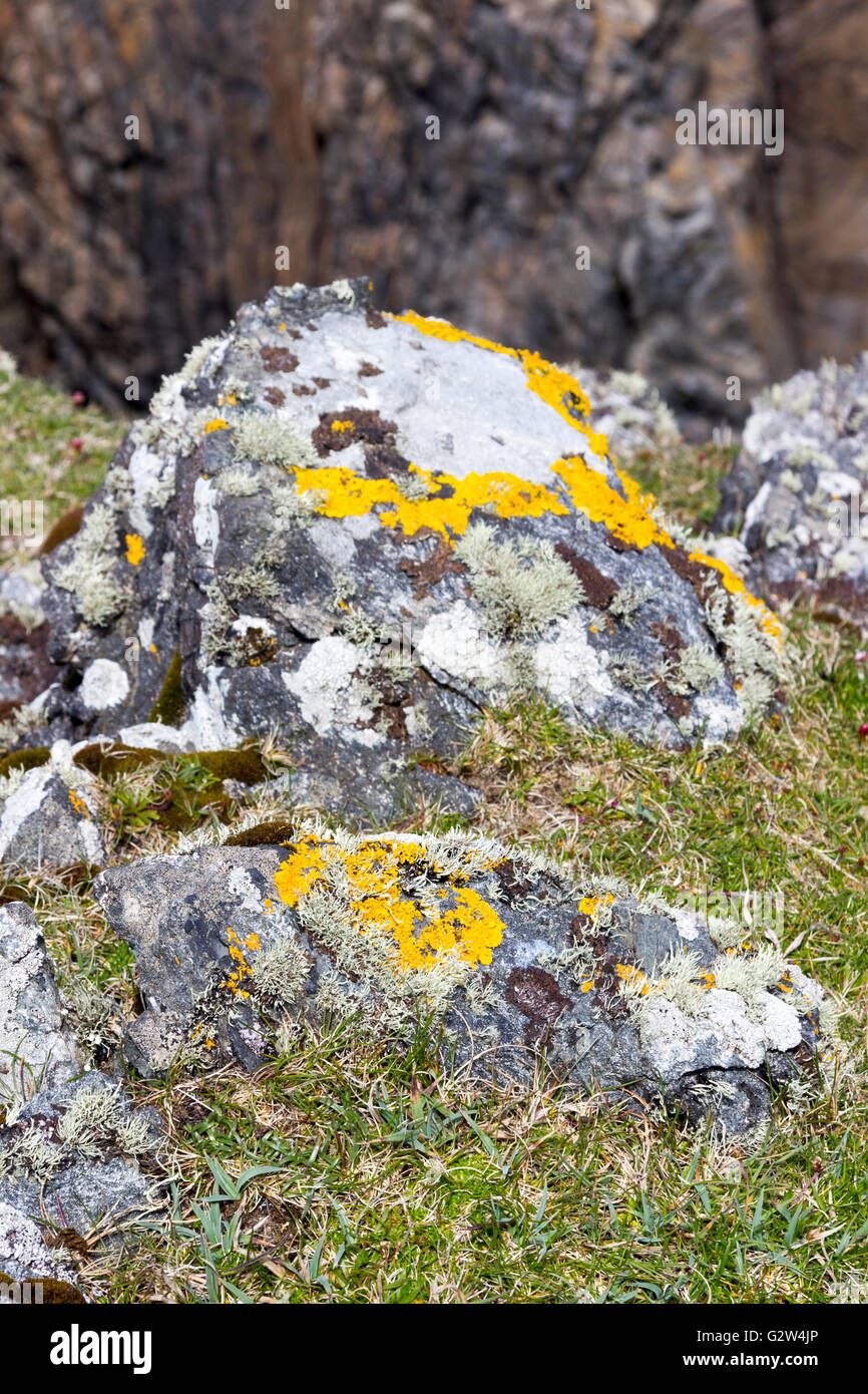 Supracrustal rocks hi-res stock photography and images - Alamy