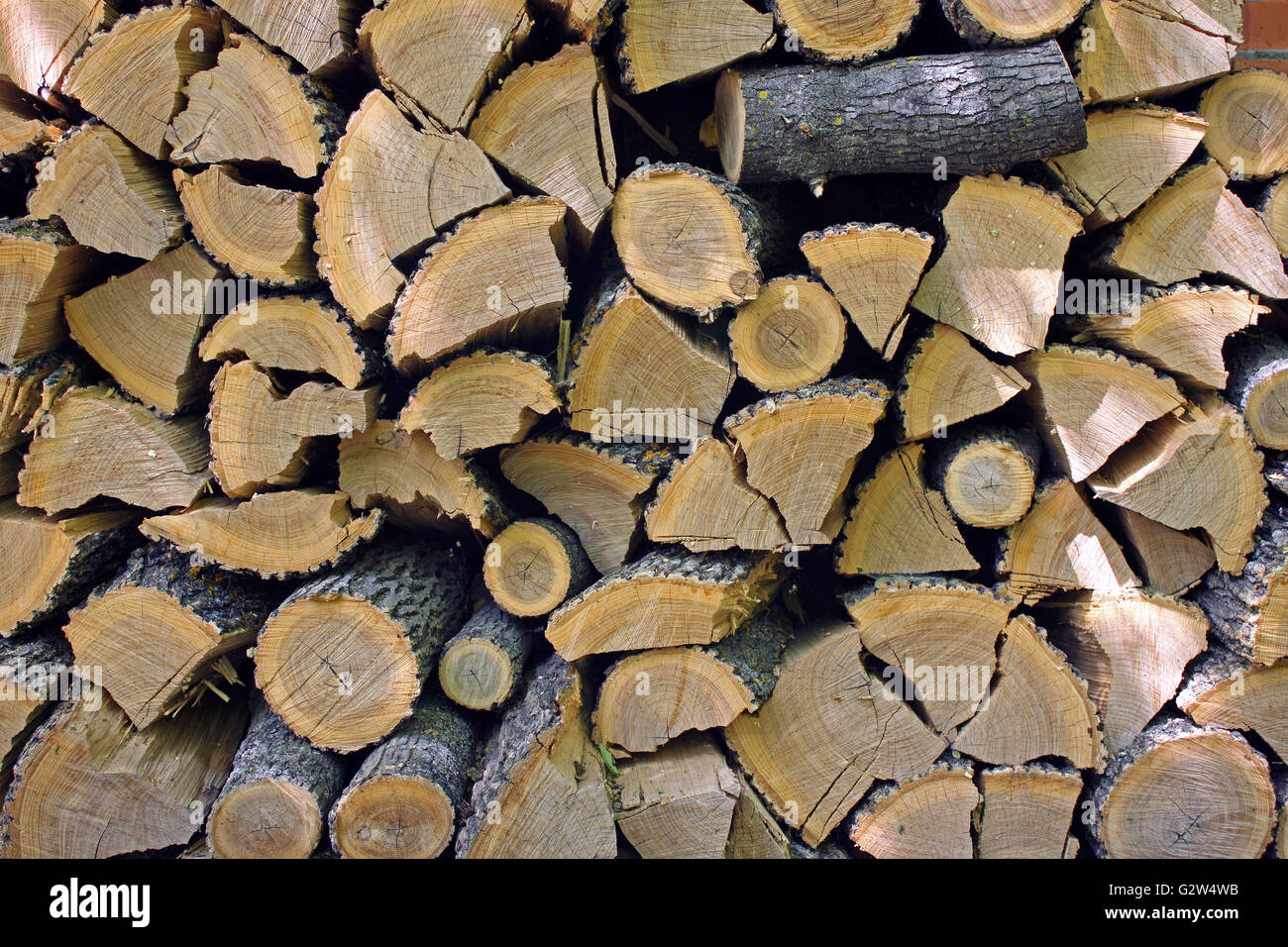 Harvested for winter firewood Stock Photo - Alamy
