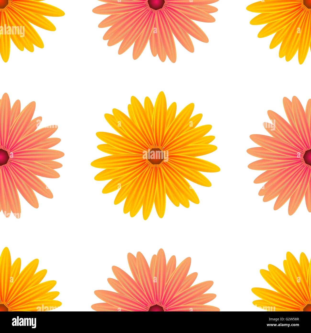 Pretty yellow flowers blooming Stock Vector Images - Alamy